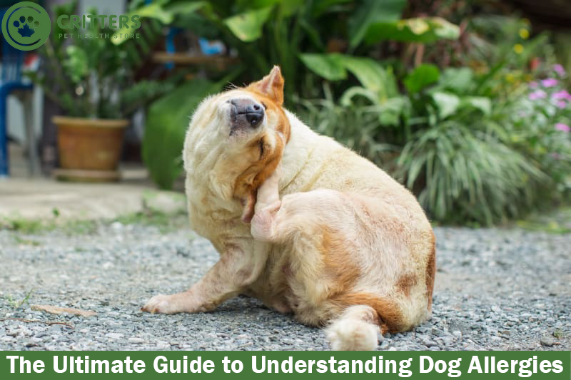 The Ultimate Guide to Understanding Dog Allergies – Critters Pet Health ...