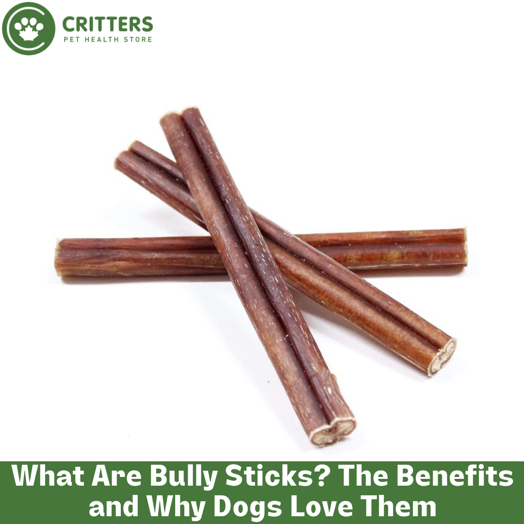 What Are Bully Sticks? The Benefits and Why Dogs Love Them – Critters ...