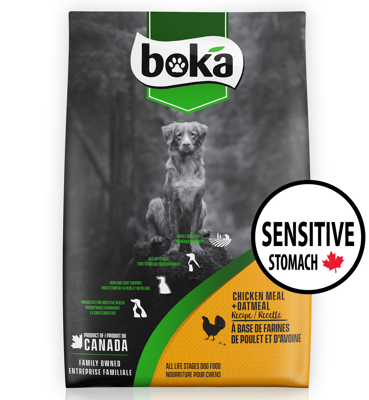 Boka Chicken Sensitive Stomach Dry Dog Food Solution – Critters Pet ...