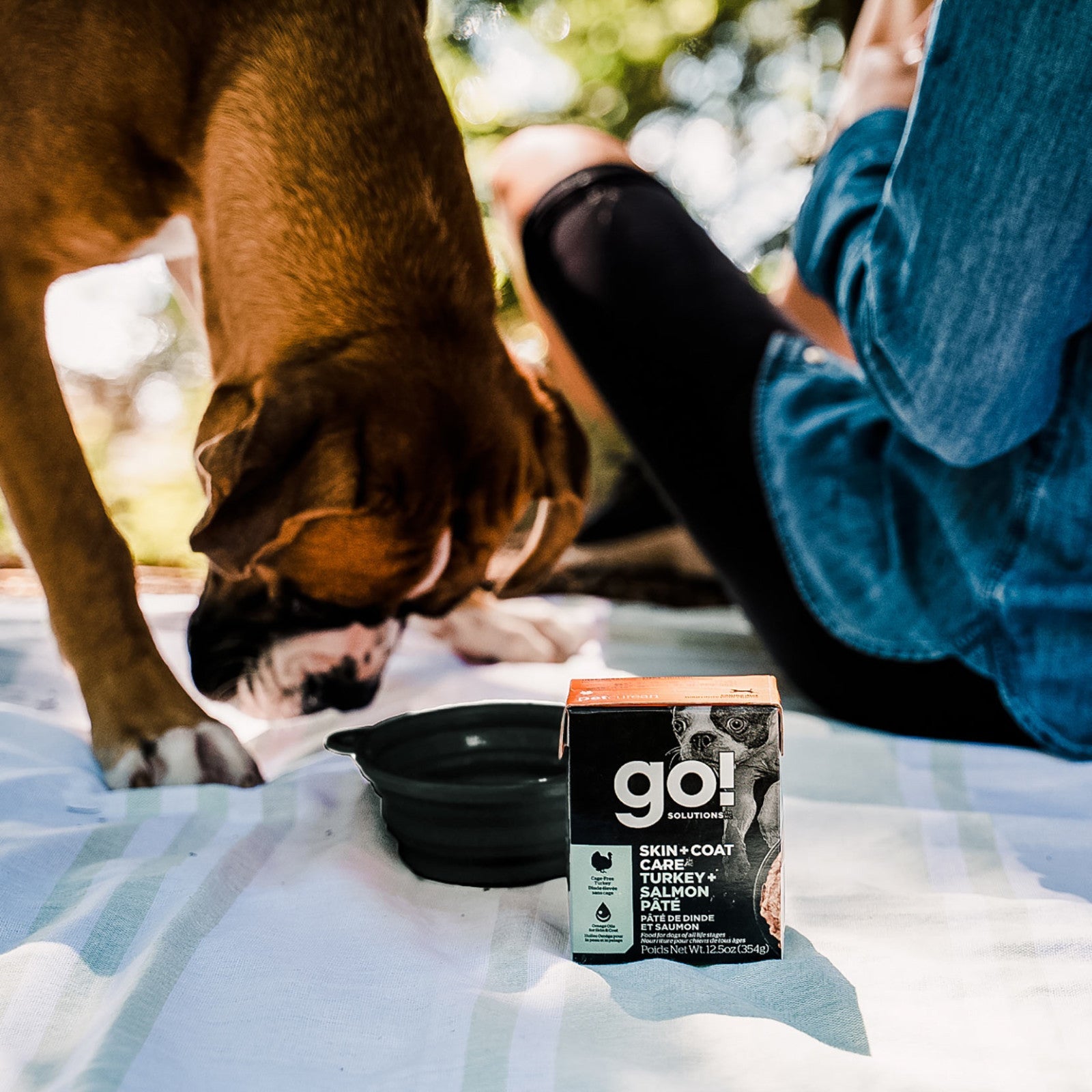 GO Carnivore Grain-Free Chicken, Turkey + Duck Stew 354g Canned Dog Fo ...